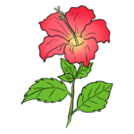 Reproduction in Plants: Meaning, Parts of Flowers and Flower Parts That ...