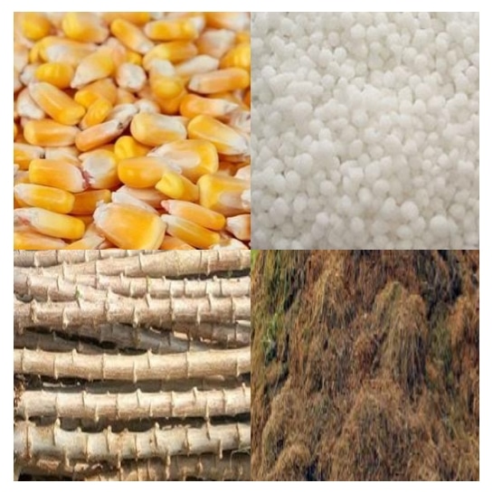 Materials Needed to Grow Crops (Primary 4) - ClassRoomNotes