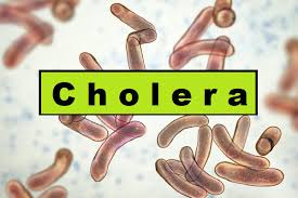 Cholera - Causes, Symptoms, Treatment, and Prevention - ClassRoomNotes